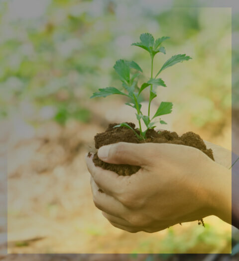 Formation par apprentissage en Bretagne - CFA ECB